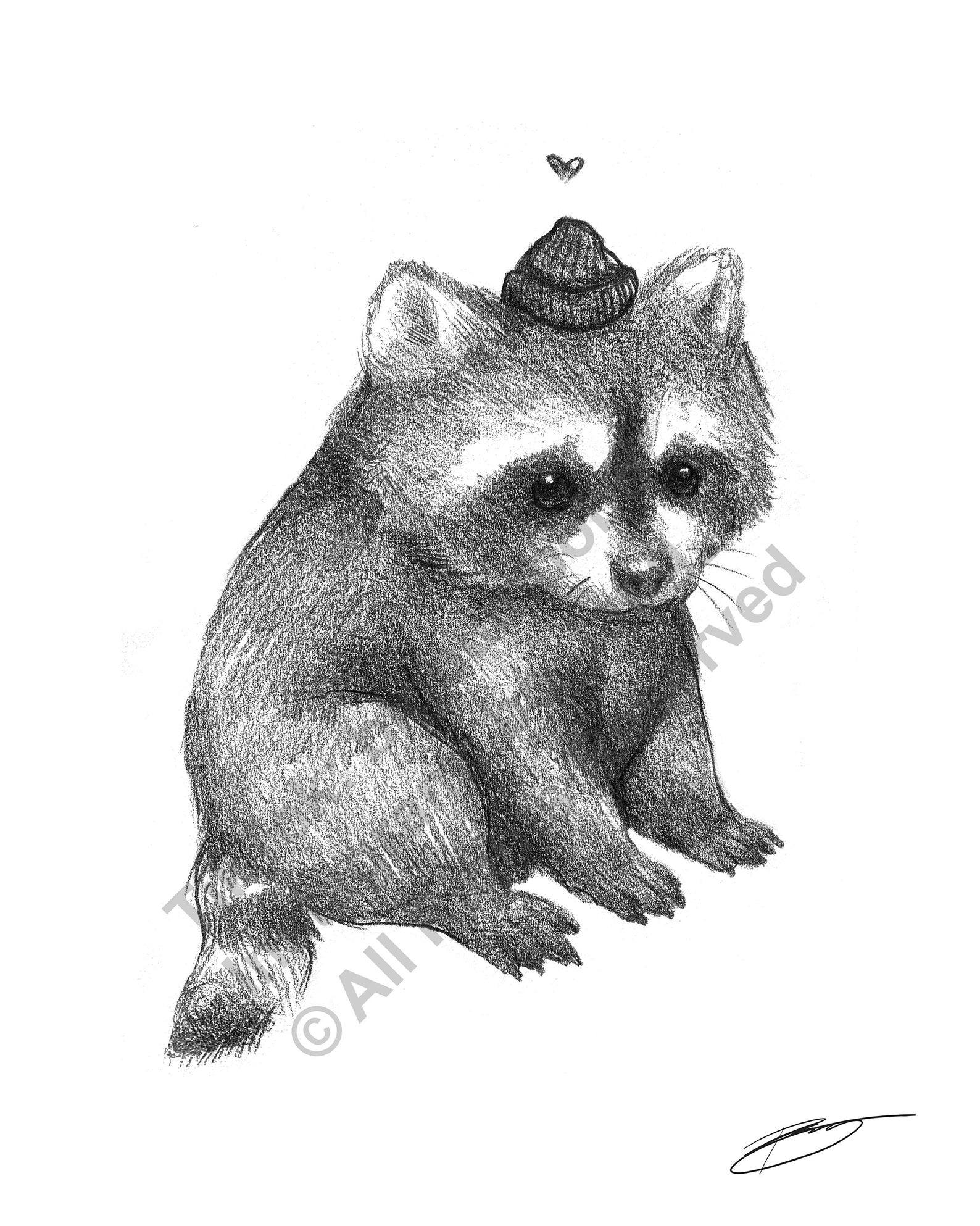 Fat Little Raccoon Sketch Illustration 8.5 X 11 Black and - Etsy