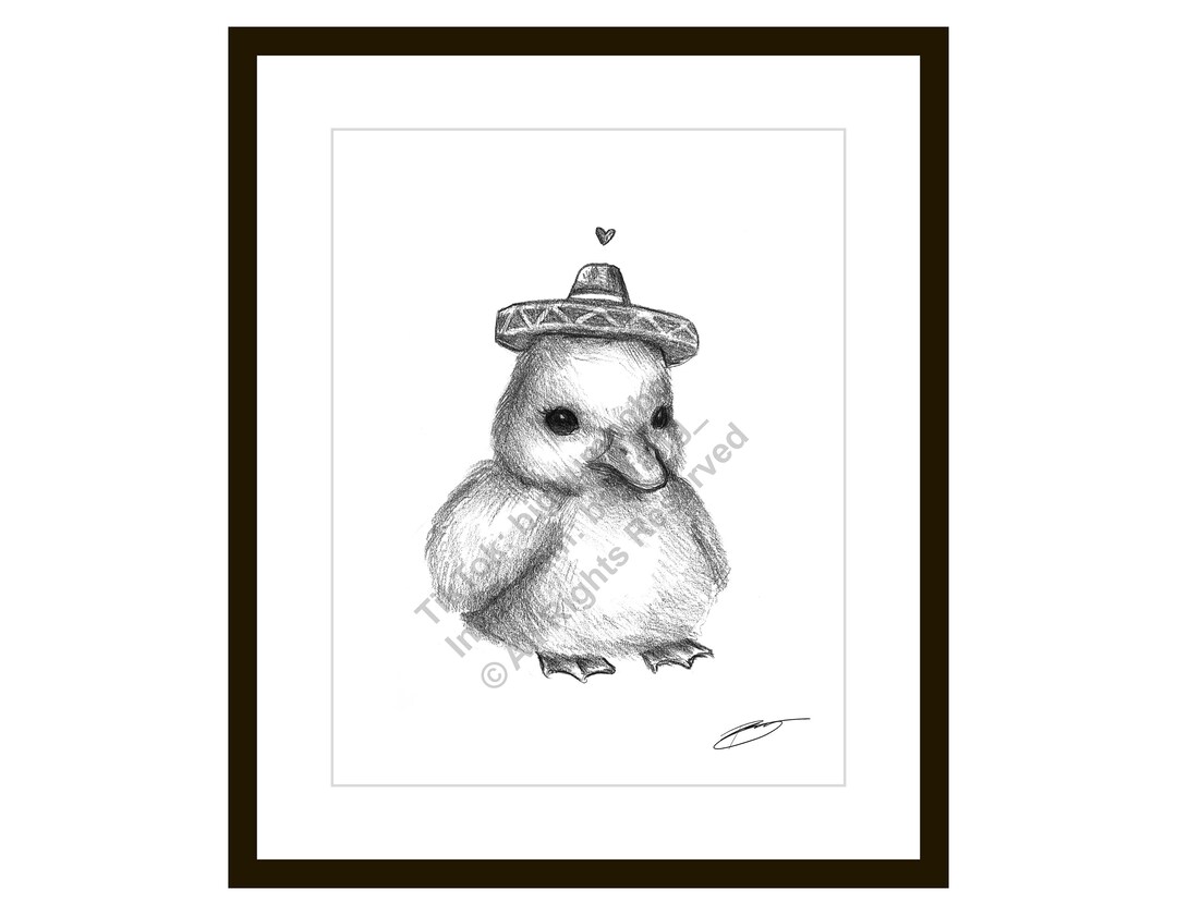 Fat Little Duck - Sketch Illustration - 8.5 X 11 Black and White Art ...