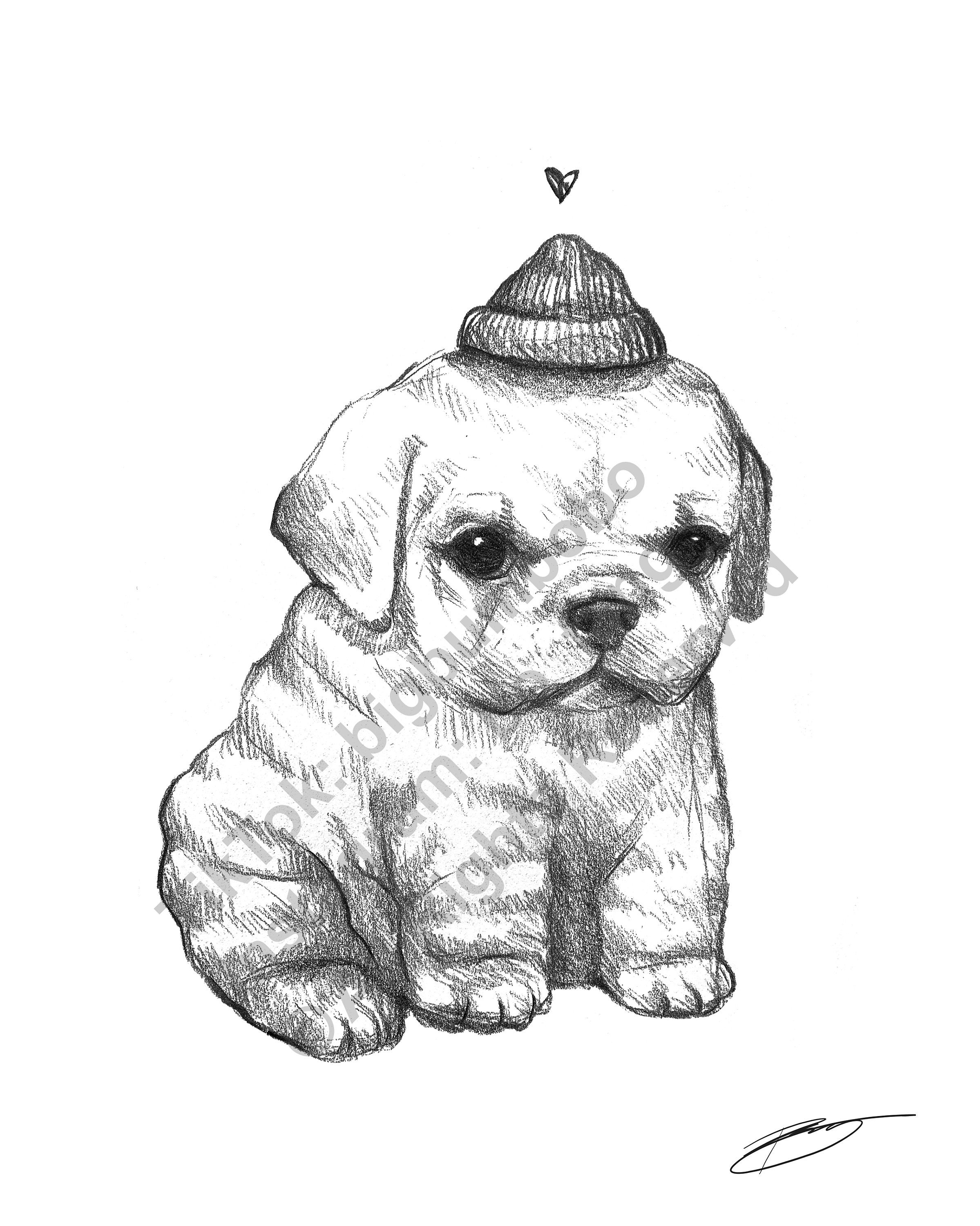 Fat Little Bulldog - Sketch Illustration - 8.5 X 11 Black and White ...