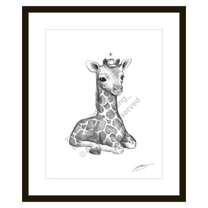 Fat Little Giraffe - Sketch Illustration - 8.5 X 11 Black and White ...