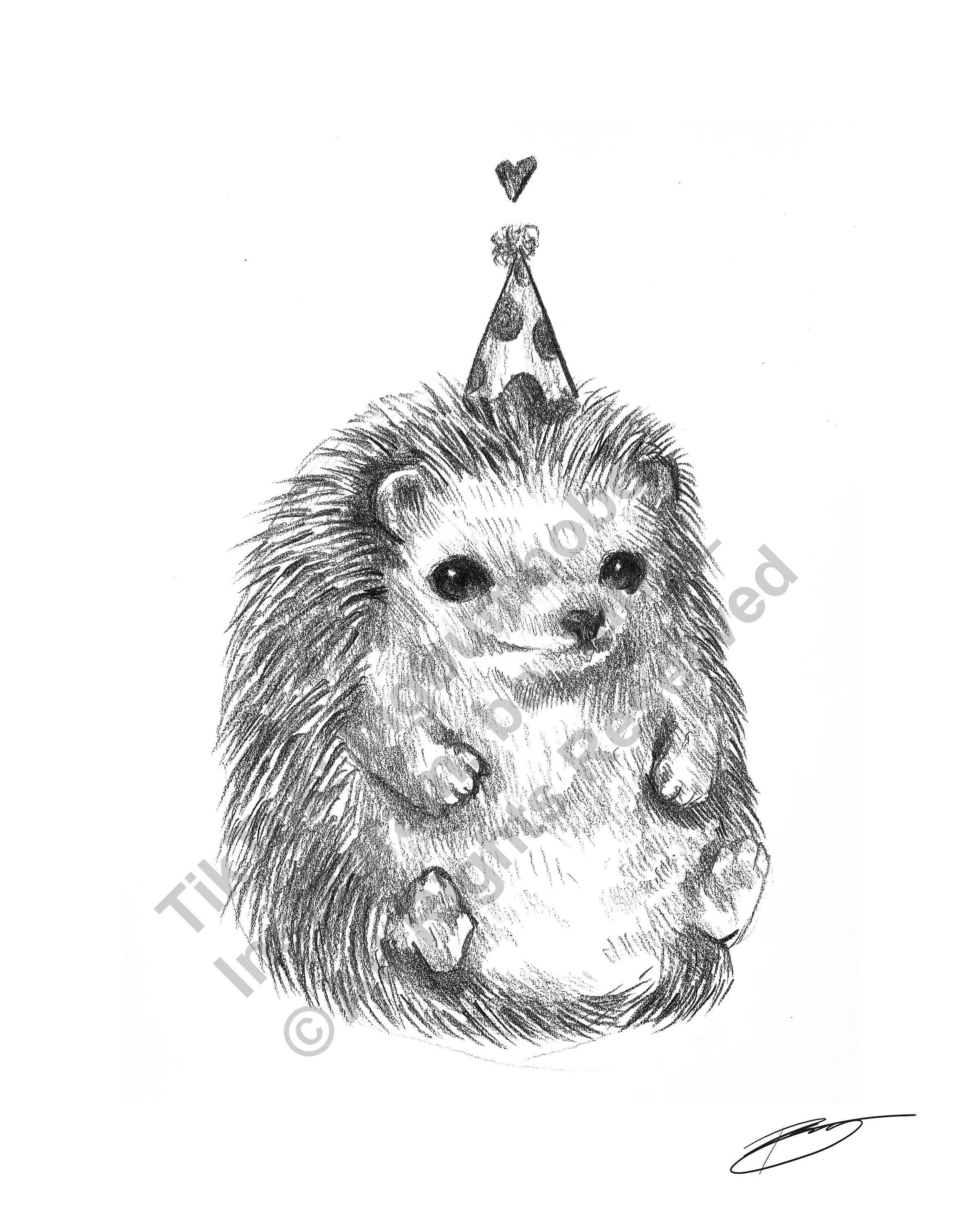 Hedgehog Drawing