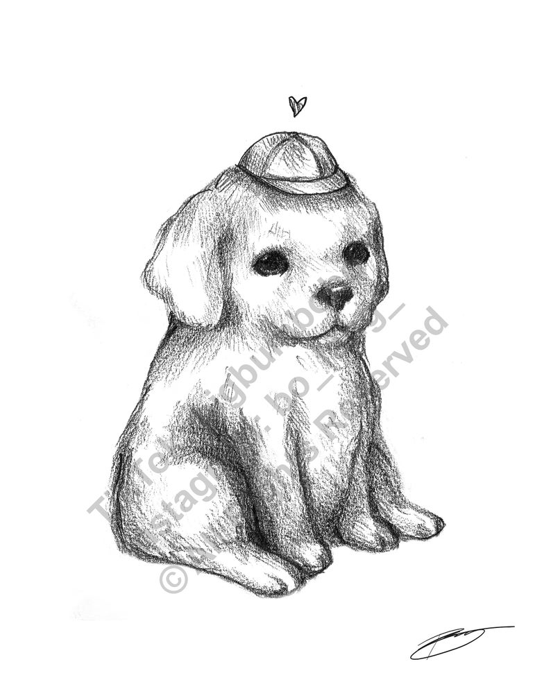 Fat Little Dog Art, Minimalist Black and White Line Drawing, Pet Lover ...