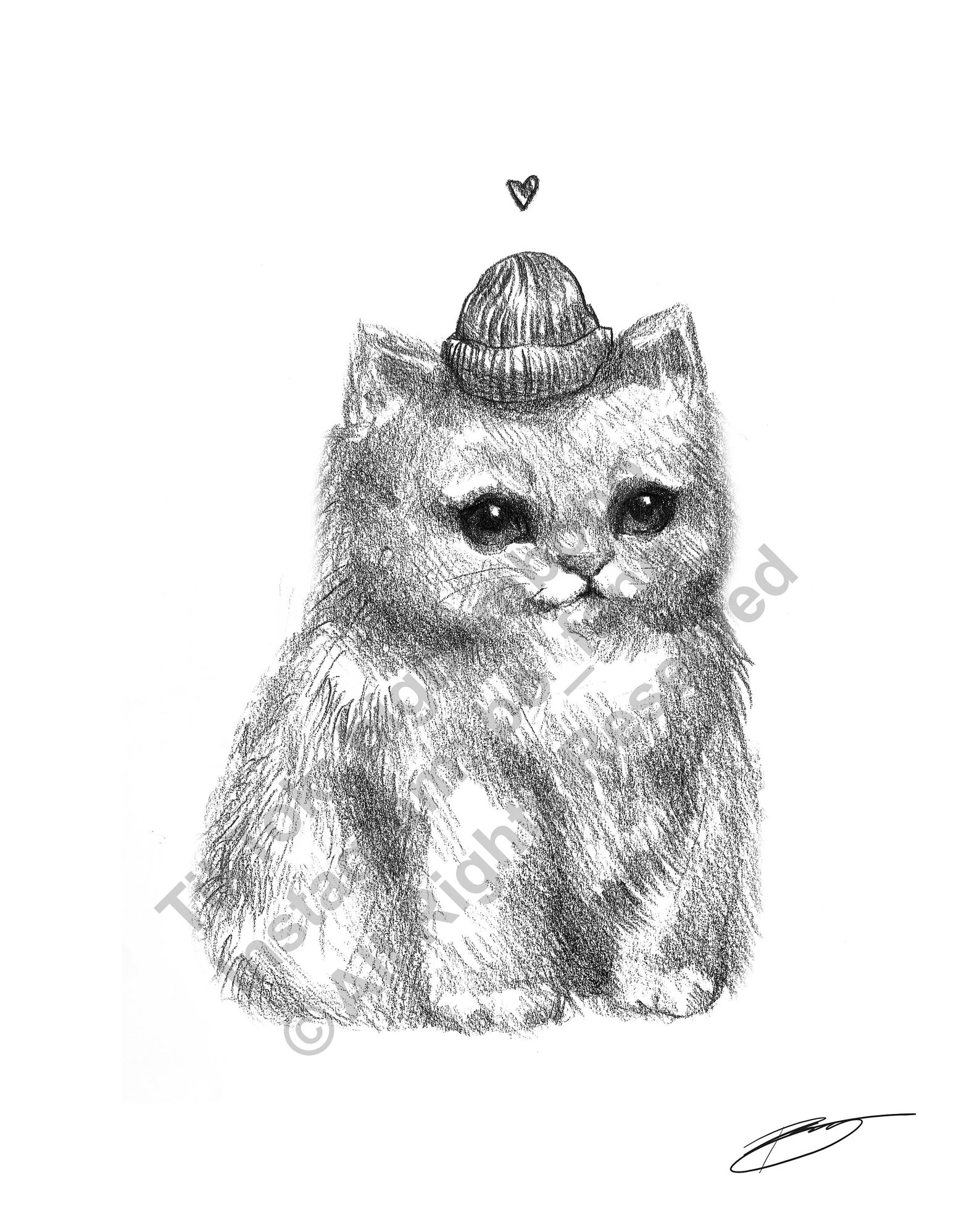 Fat Little Cat Sketch Drawing Illustration 8.5 X 11 Black | Etsy