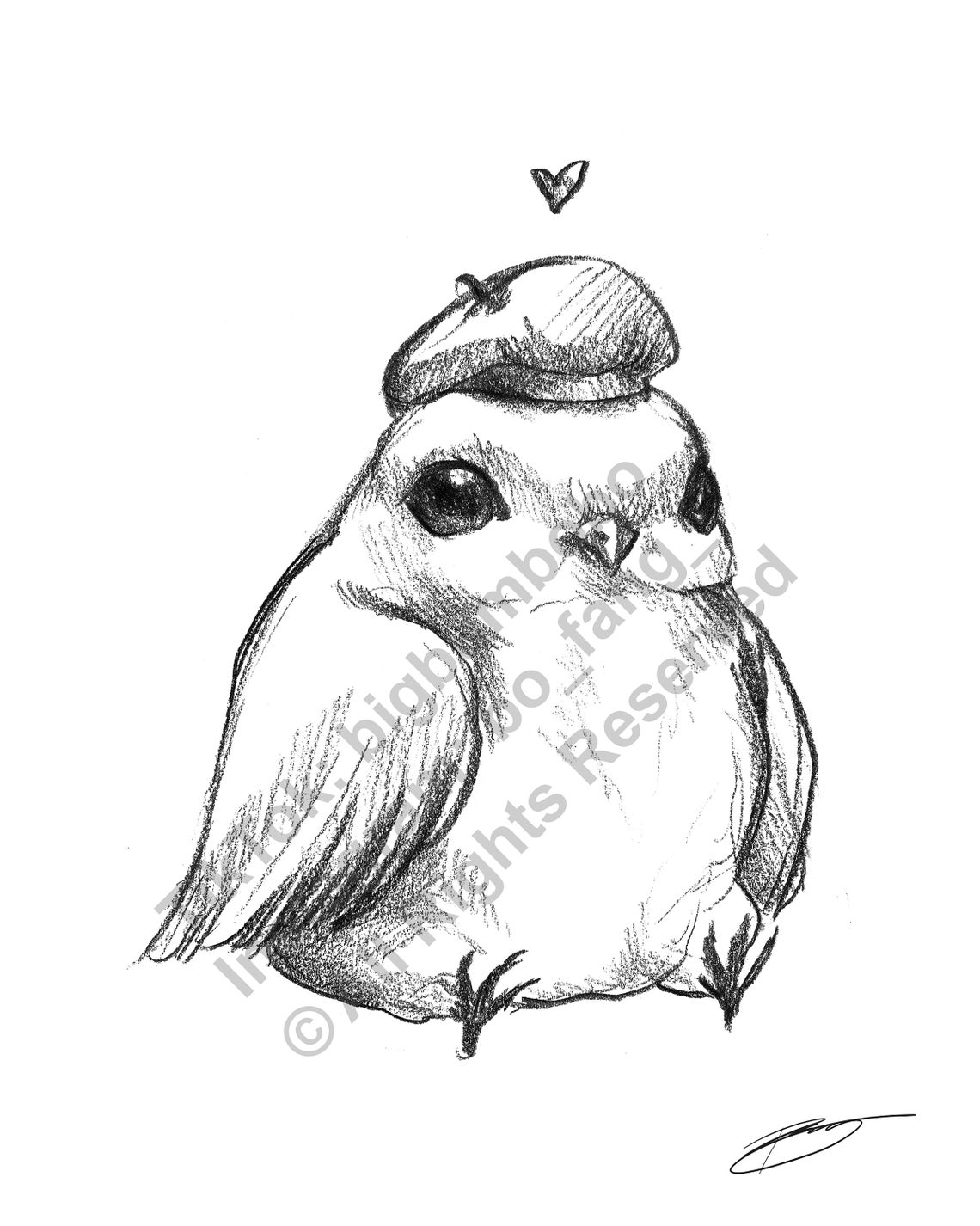 Fat Little Bird - Sketch Drawing Illustration - 8.5 X 11 Animal Art ...