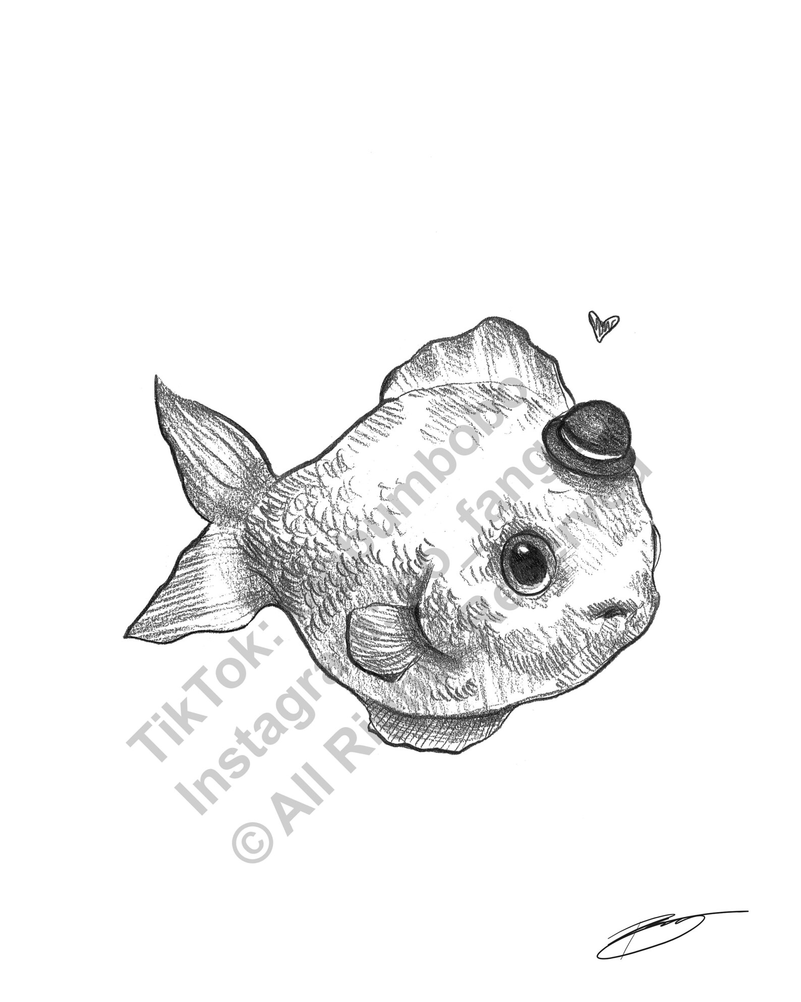 Fat Little Fish Sketch Illustration 8.5 X 11 Black and - Etsy