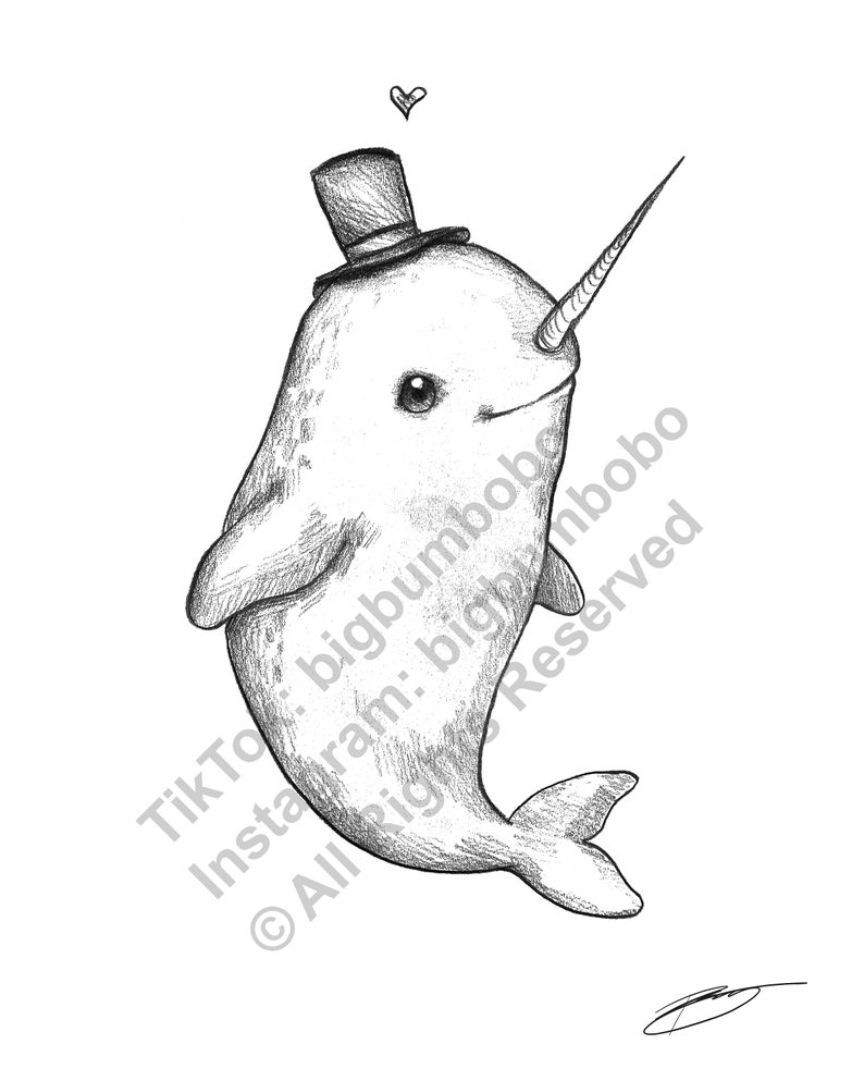 Fat Little Narwhal Sketch Drawing Illustration 8.5 X 11 - Etsy
