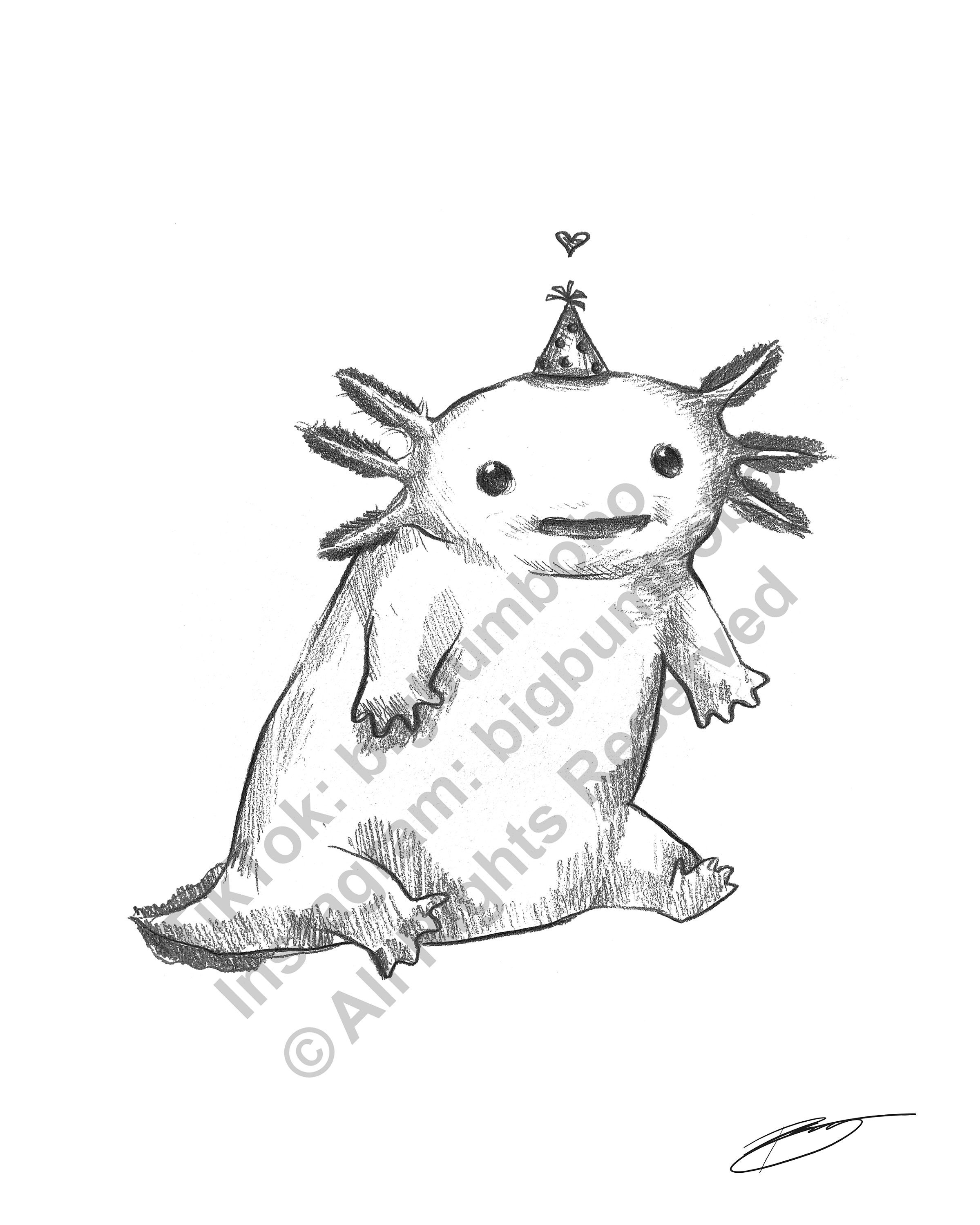 Axolotl Drawing