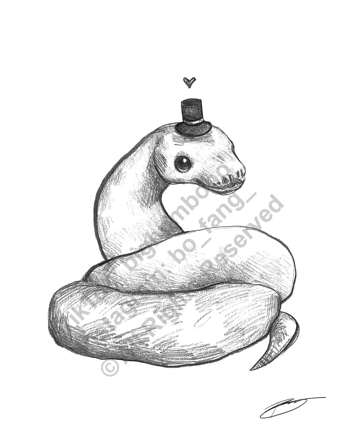 Fat Little Snake Sketch Illustration 8.5 X 11 Black and - Etsy