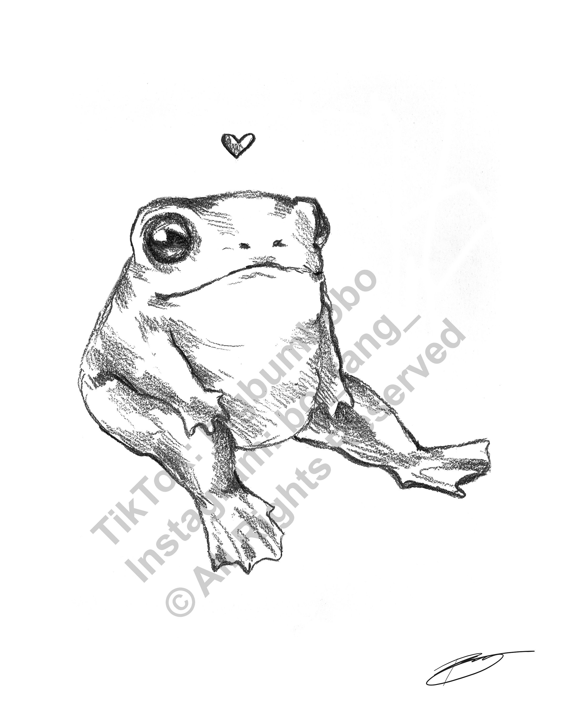 Fat Little Toad - Sketch Drawing Illustration - 8.5 X 11 Animal Art ...
