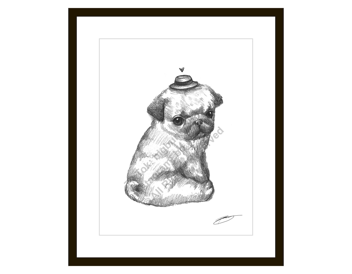 Fat Little Pug - Sketch Illustration - 8.5 X 11 Black and White Animal ...