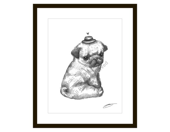 Fat Little Pug Sketch Illustration 8.5 X 11 Black and | Etsy