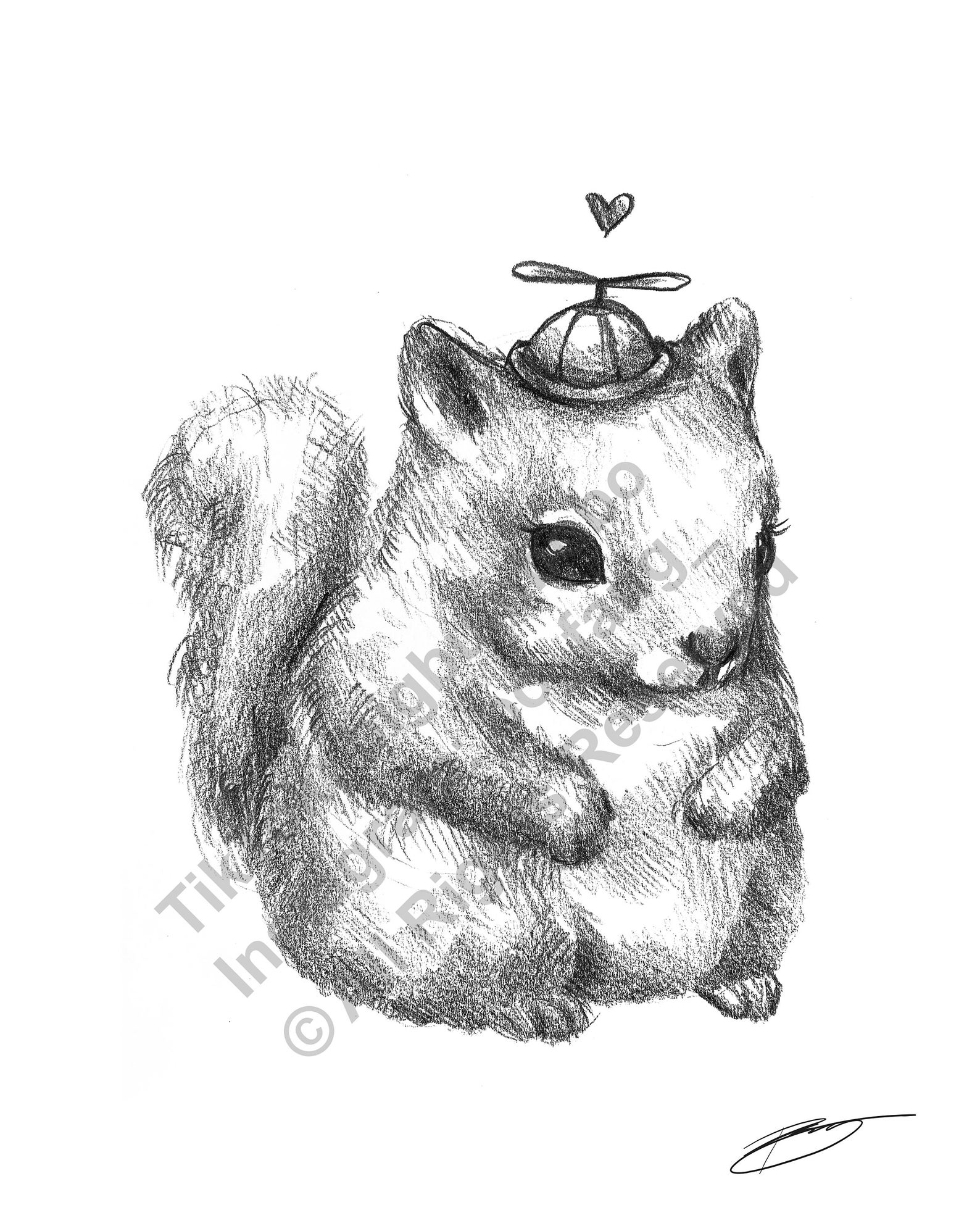 Fat Little Squirrel Sketch Drawing Illustration 8.5 X 11 - Etsy Denmark