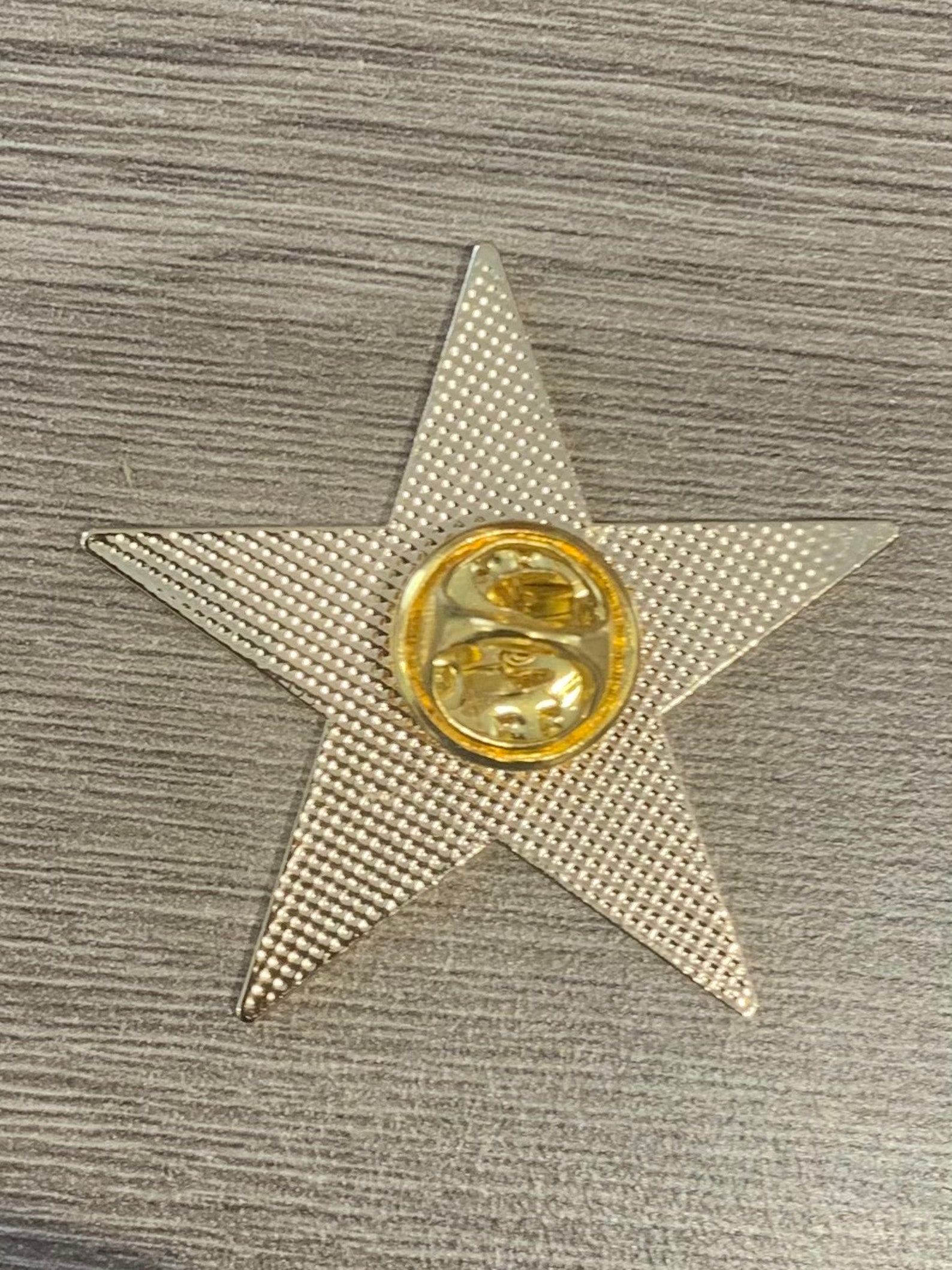 School Badge Star Badge Gold Metal Star Badge Star Badge - Etsy