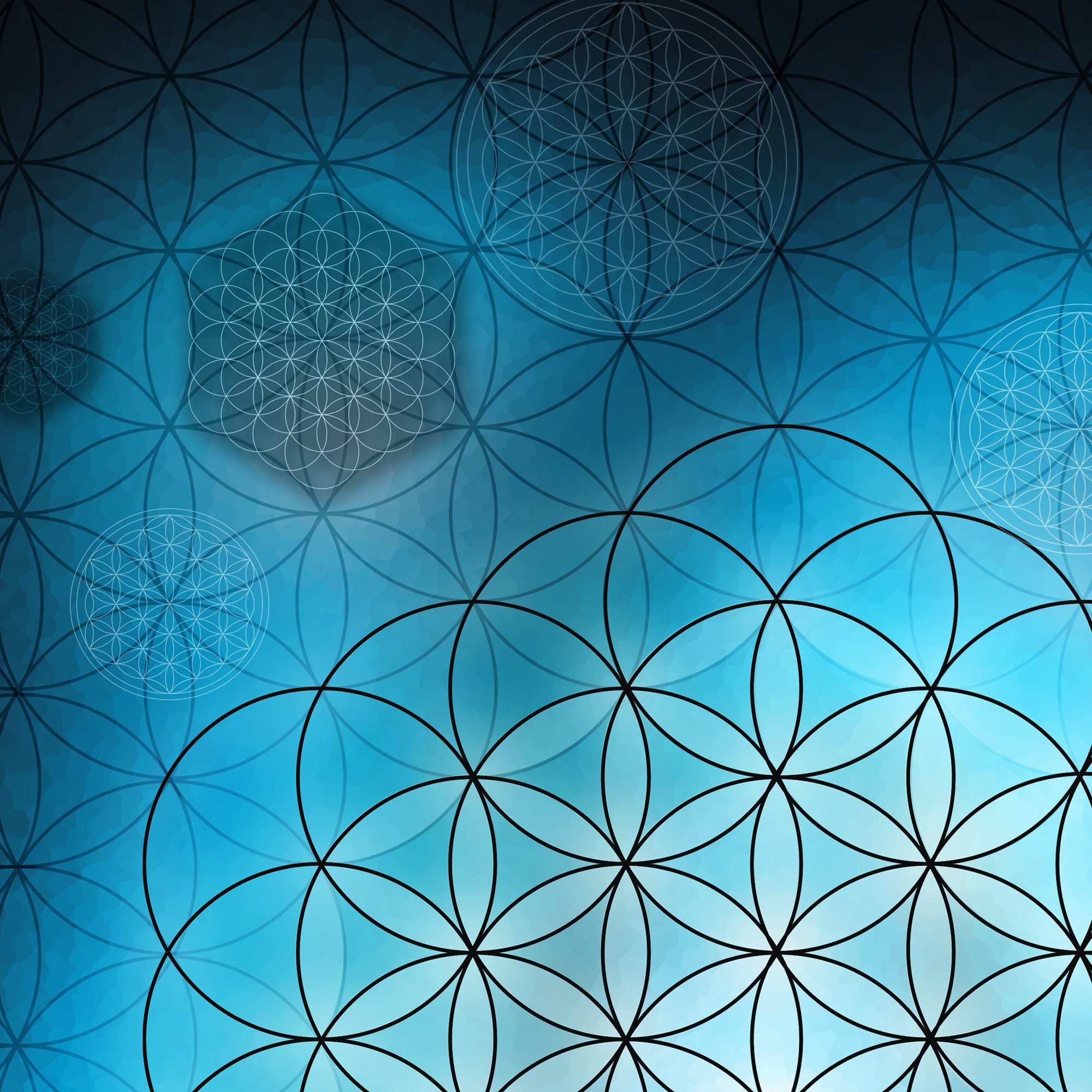 Flower of Life Poster, Printable Poster, Digital File, Sacred Geometry ...