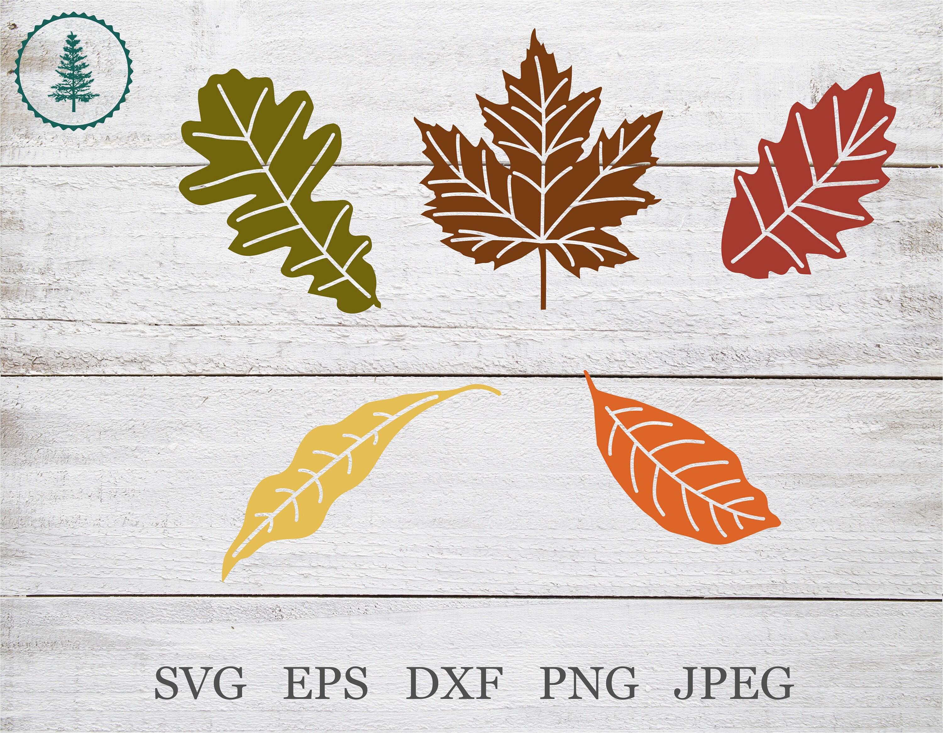 Fall Leaves Set SVG - Etsy