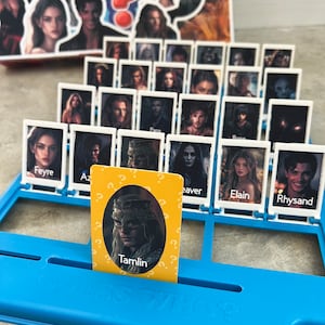 ACOTAR Guess Who Game, ACOTAR Gifts, Book Lover Gifts, a Court of ...