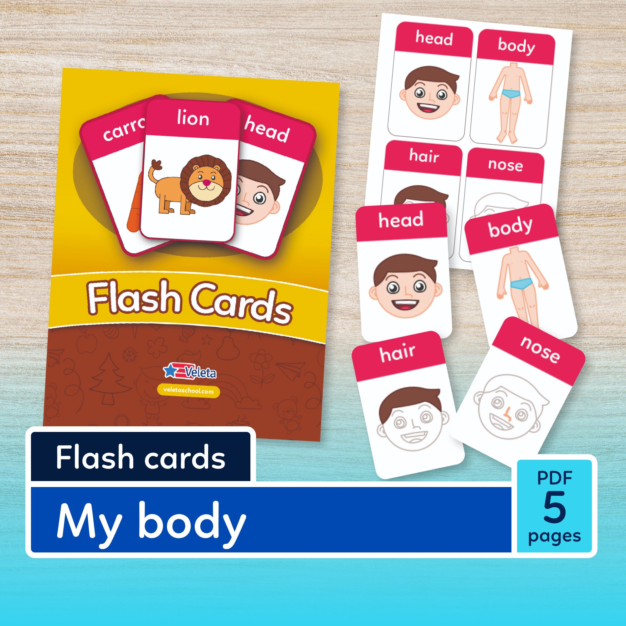 The Body Busy Book Printable & Body Flashcards, Human Body Parts ...