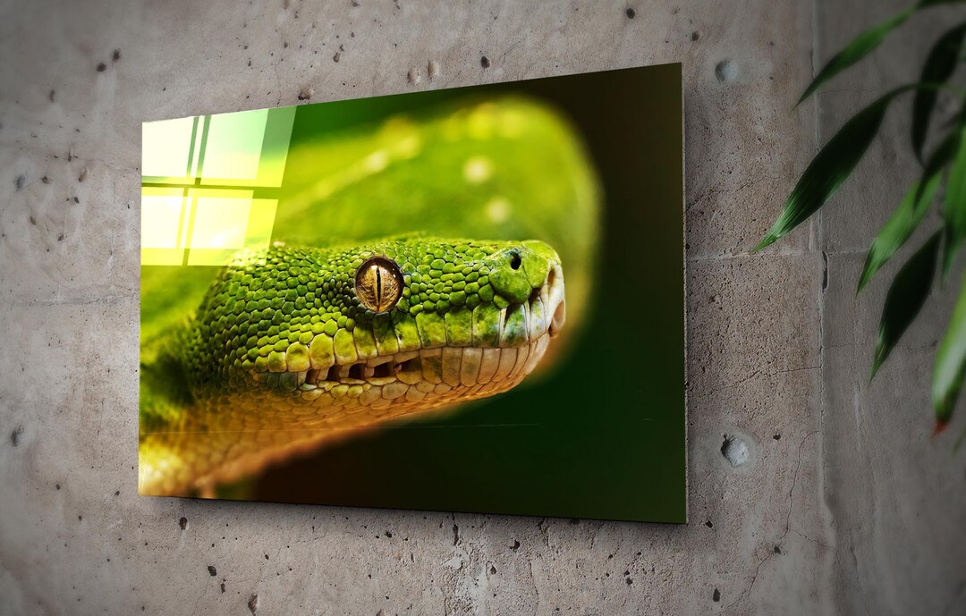 Viper Snake Wall Art Tropical Green Bedroom Decoration Reptile Lover ...