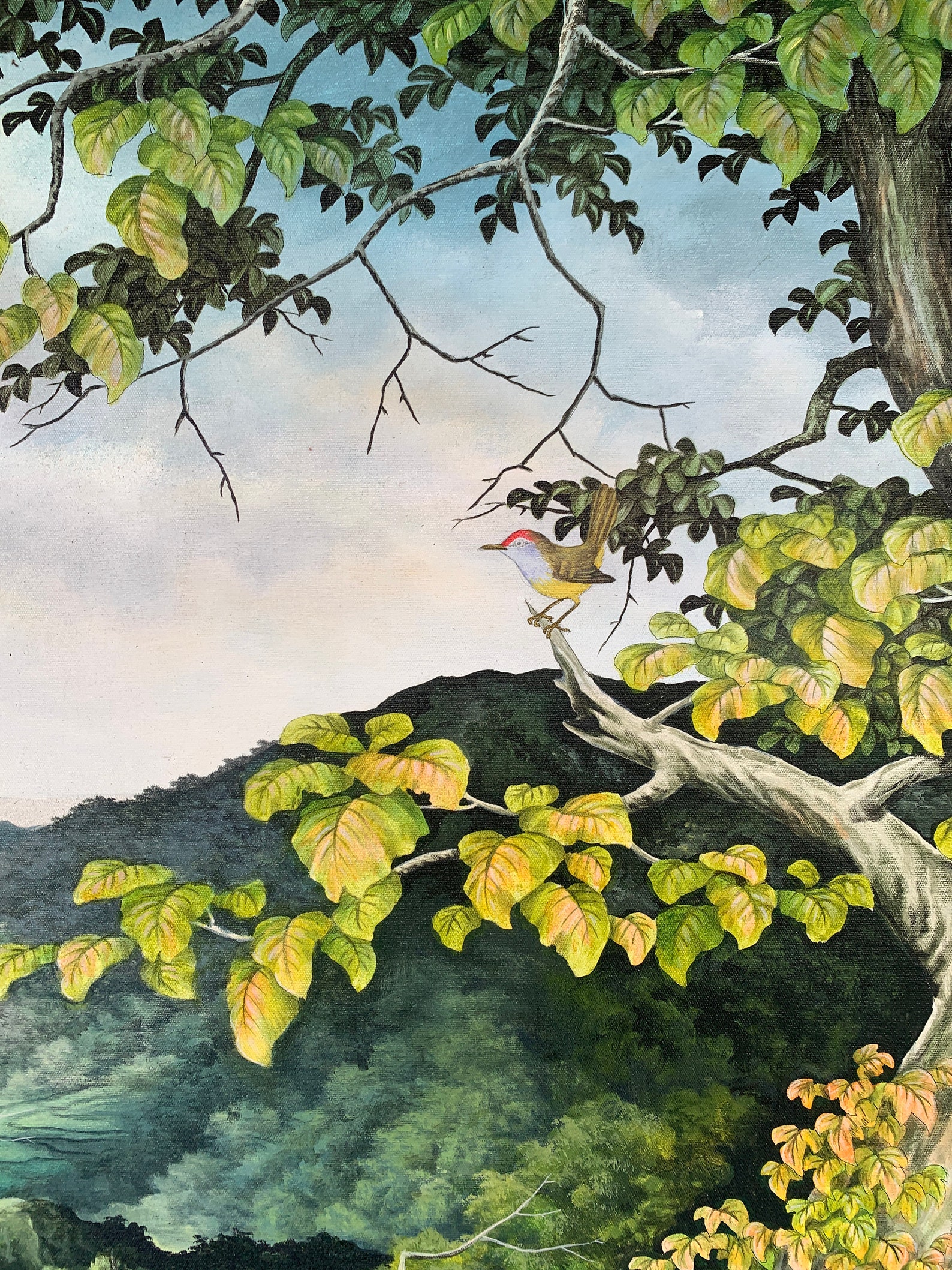 Nature Painting, Realistic Landscape Painting, Mountain Art, Waterfall ...