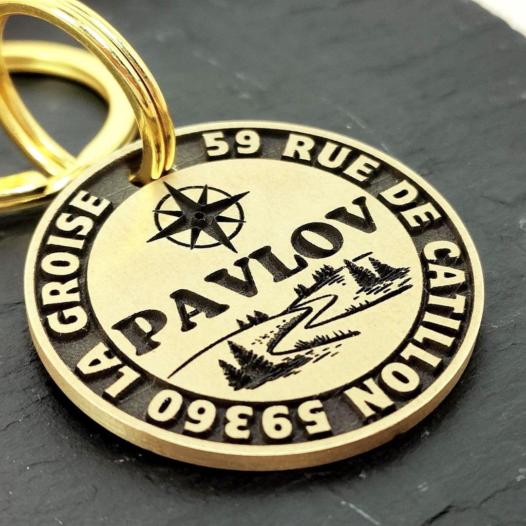 Customizable Dog and Cat Medal - Brass - High-quality Deep Engraving - Etsy