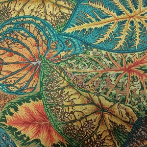 Kaffe Caladiums - Etsy