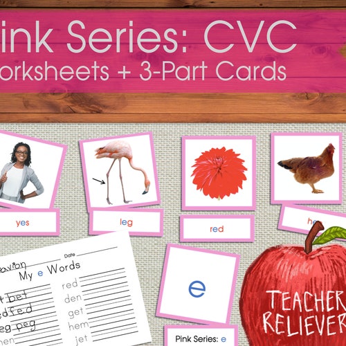 PINK SERIES Montessori Nomenclature Flash 3 Parts Cards - Etsy