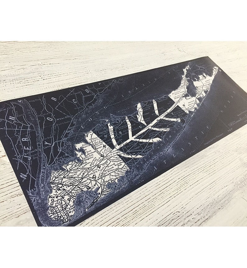 Carleton Long Island Fish Negative Map Poster - Etsy