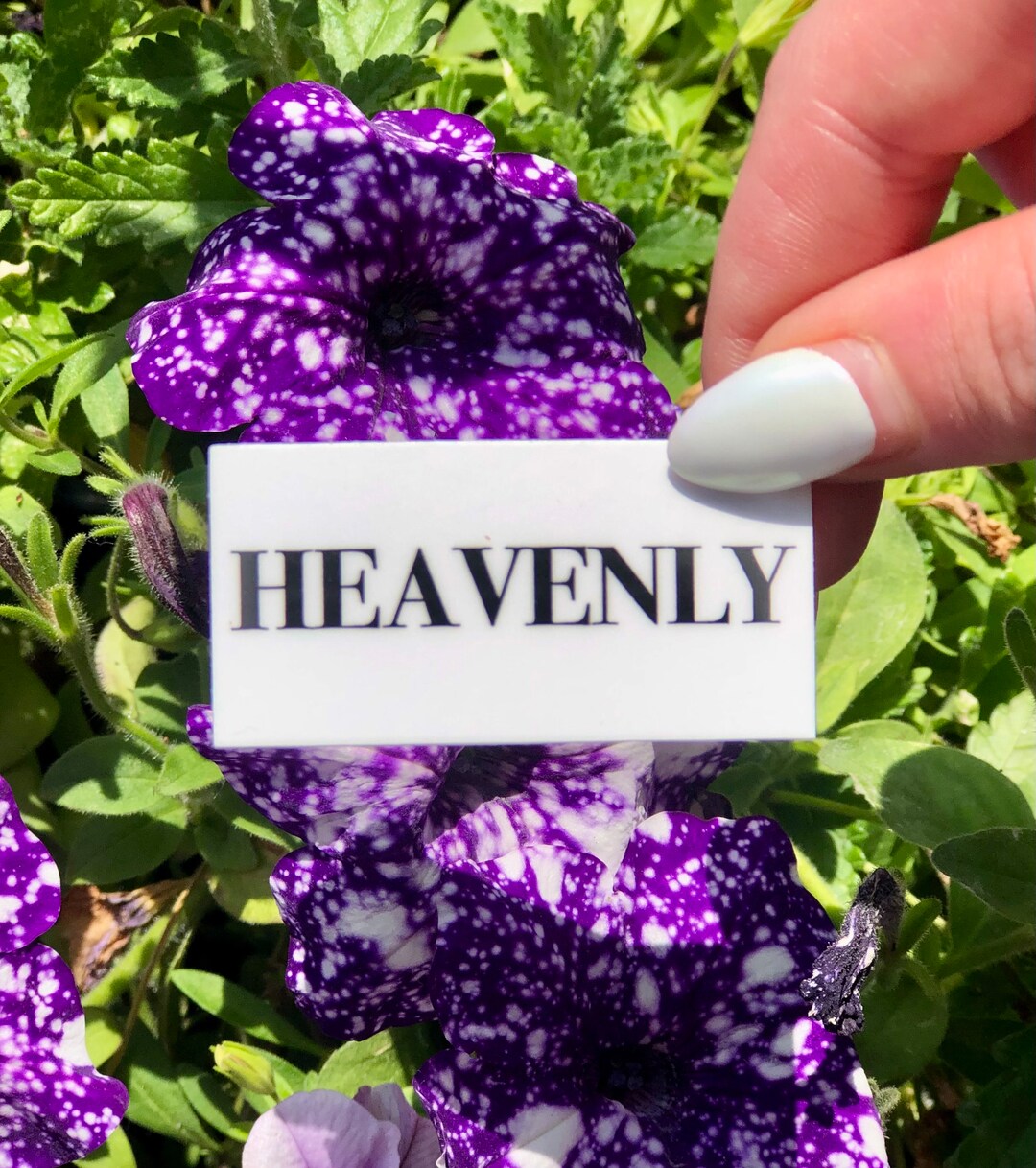Heavenly Sticker - Etsy