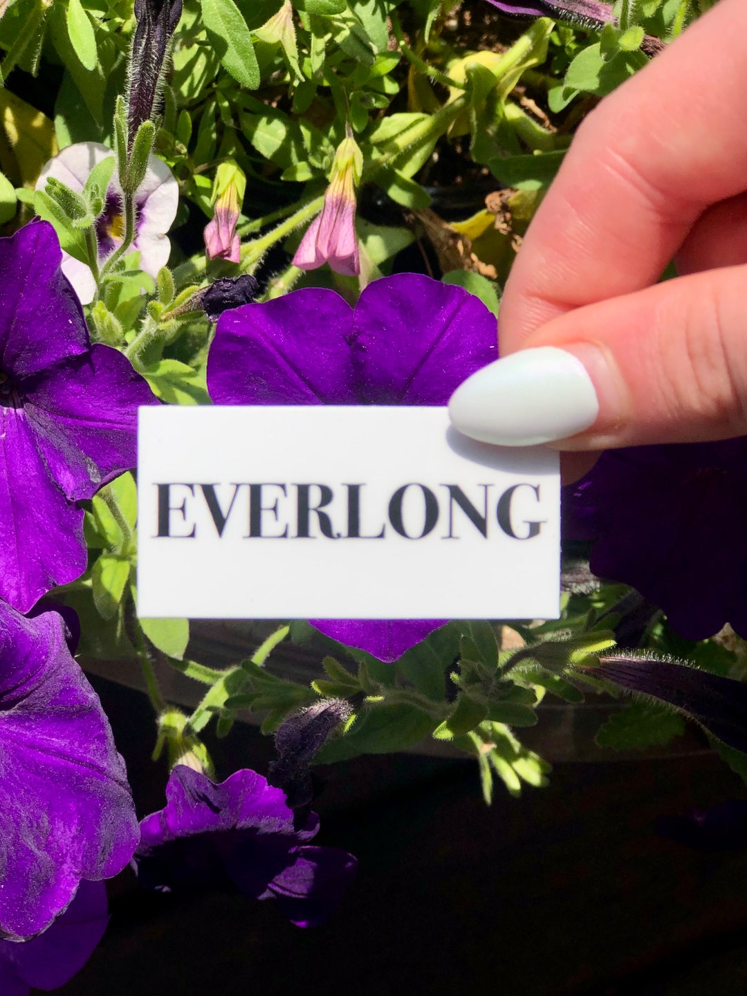 Everlong Sticker - Etsy