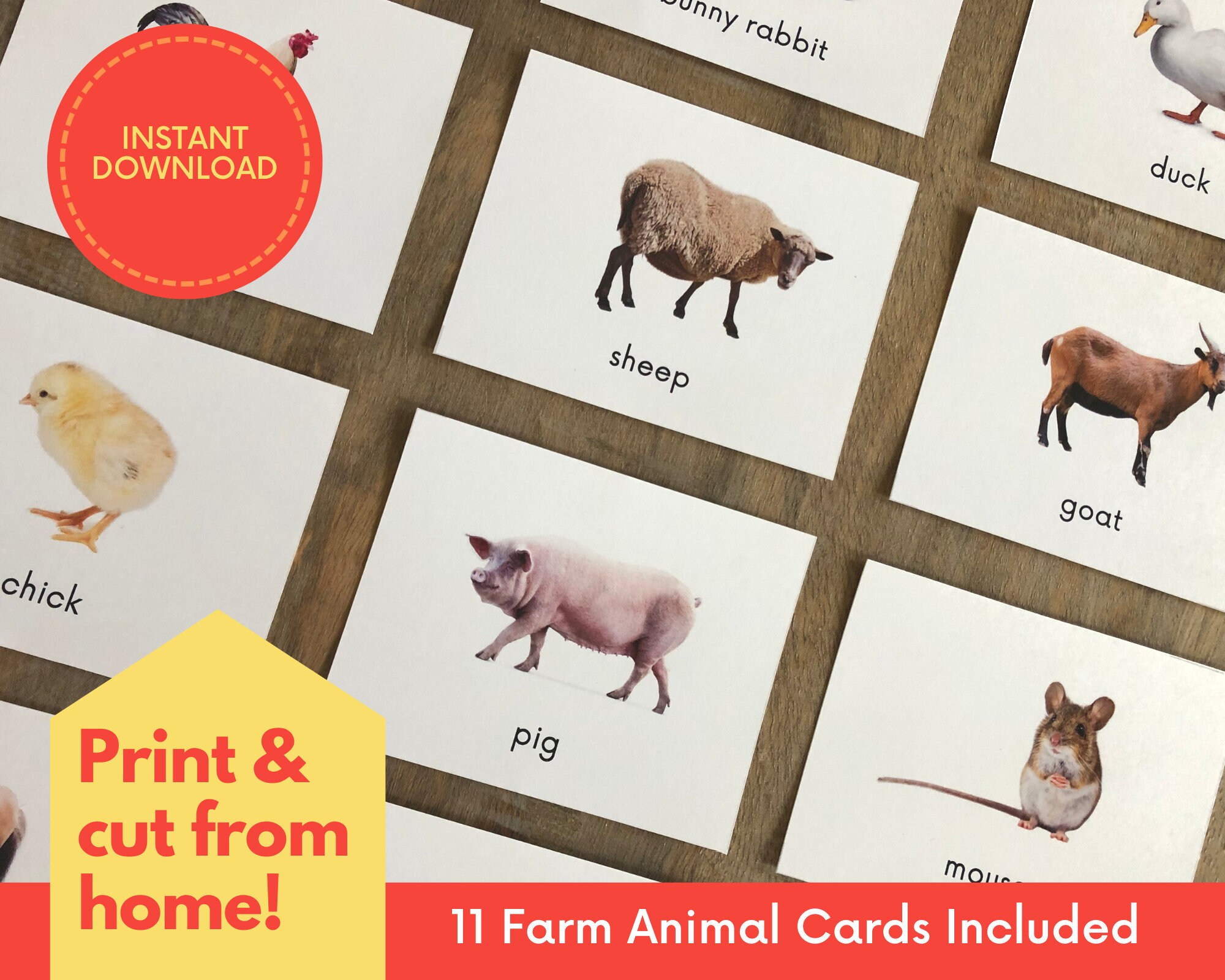 FARM ANIMALS /montessori Flash Cards / Toddler Activity / Preschool ...