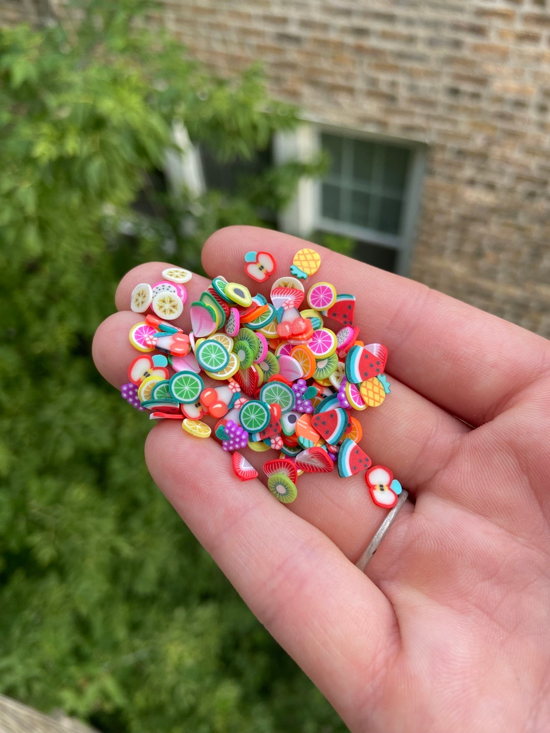 Fruit Polymer Slices - Etsy
