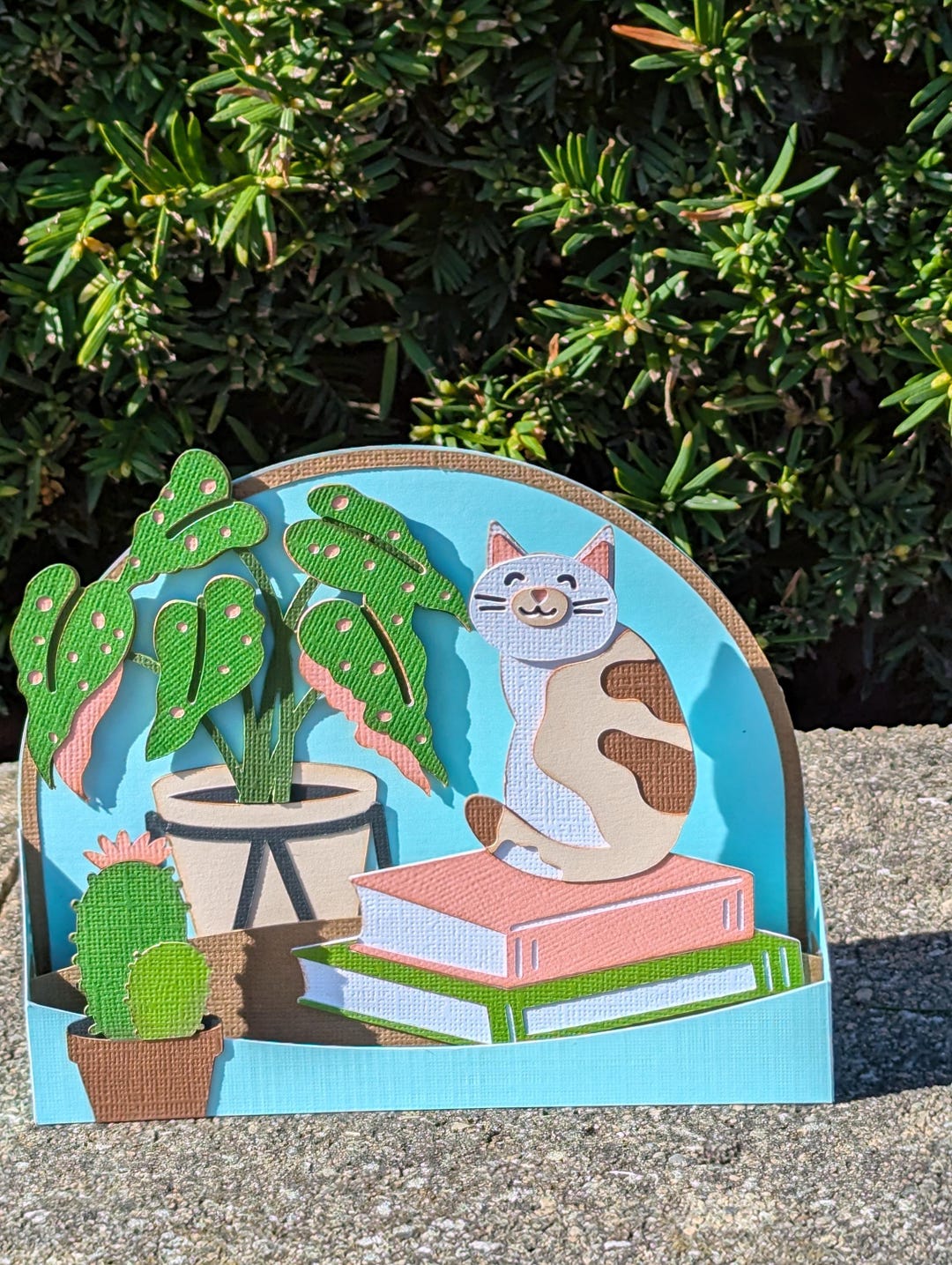 Have a Purr-fect Day Cat Pop up Card. - Etsy