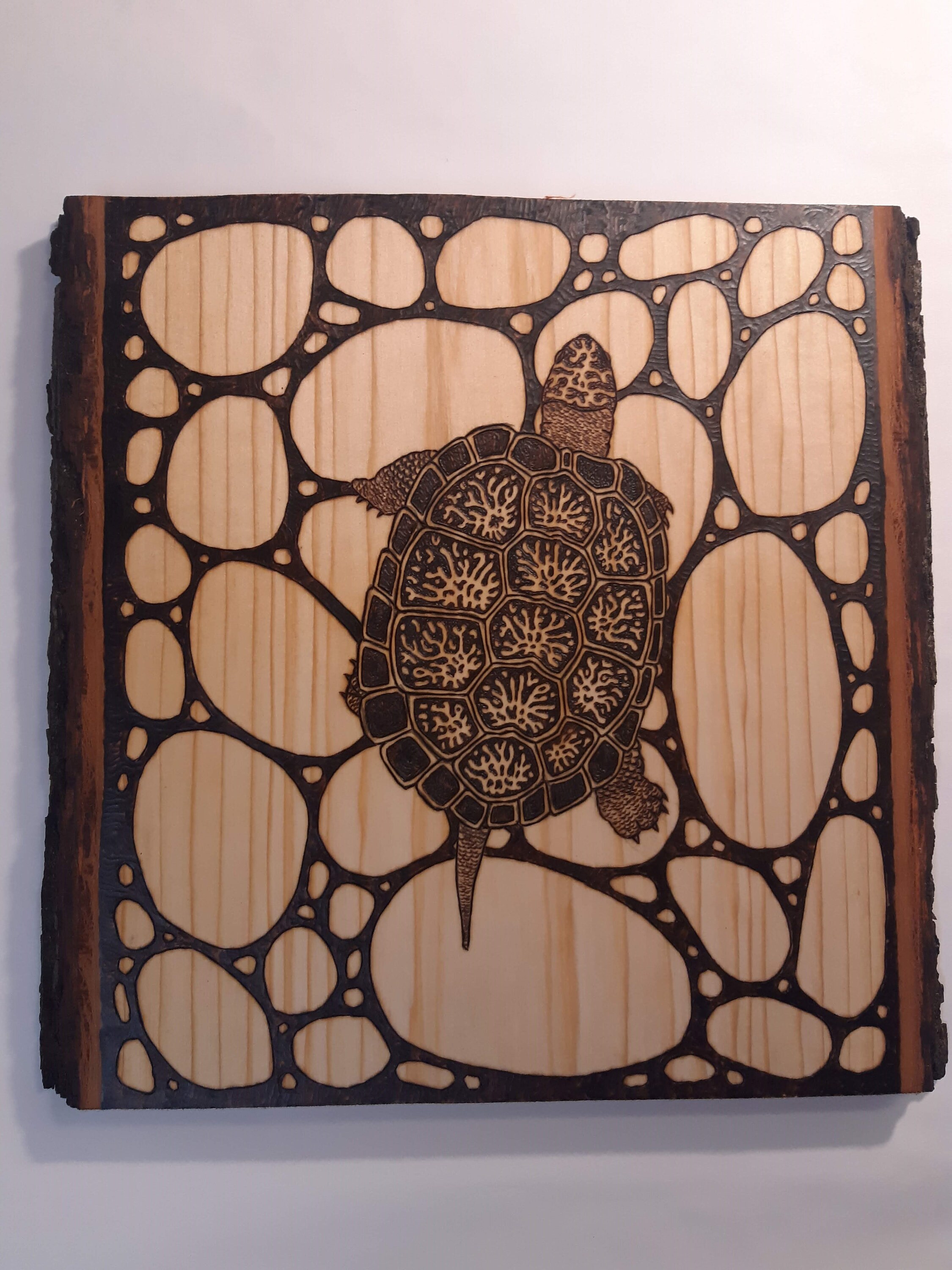Turtle Wood Burning - Etsy