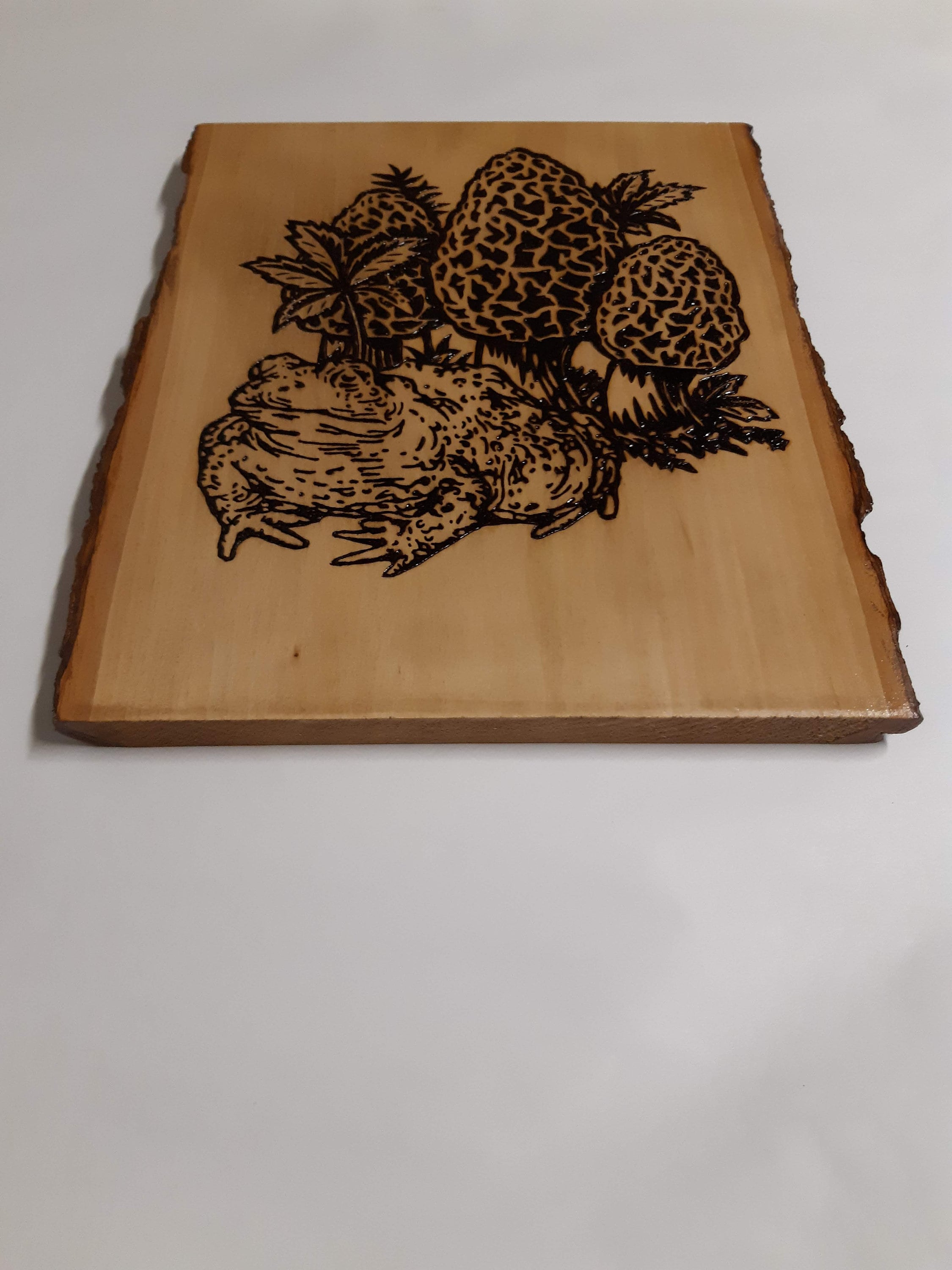Toad and Morel Mushroom Wood Burning - Etsy