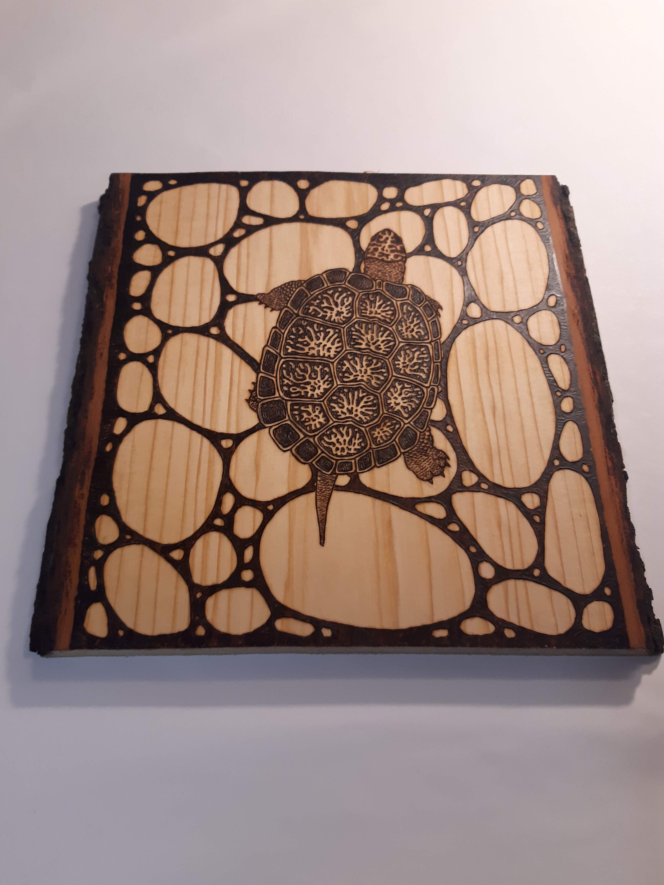 Turtle Wood Burning - Etsy