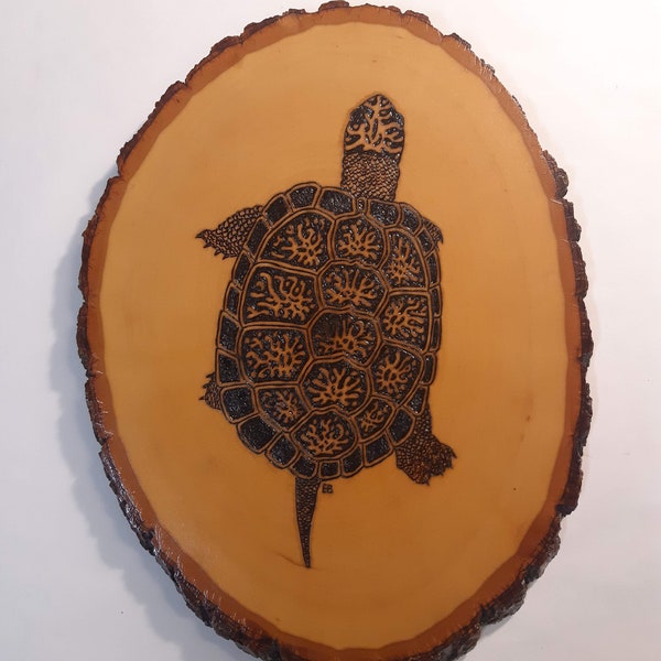 Turtle Wood Burning - Etsy