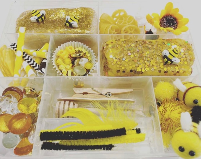 Busy Bee Box, Invitation to Play, Sensory Play, Sensory Bin, Busy Box ...