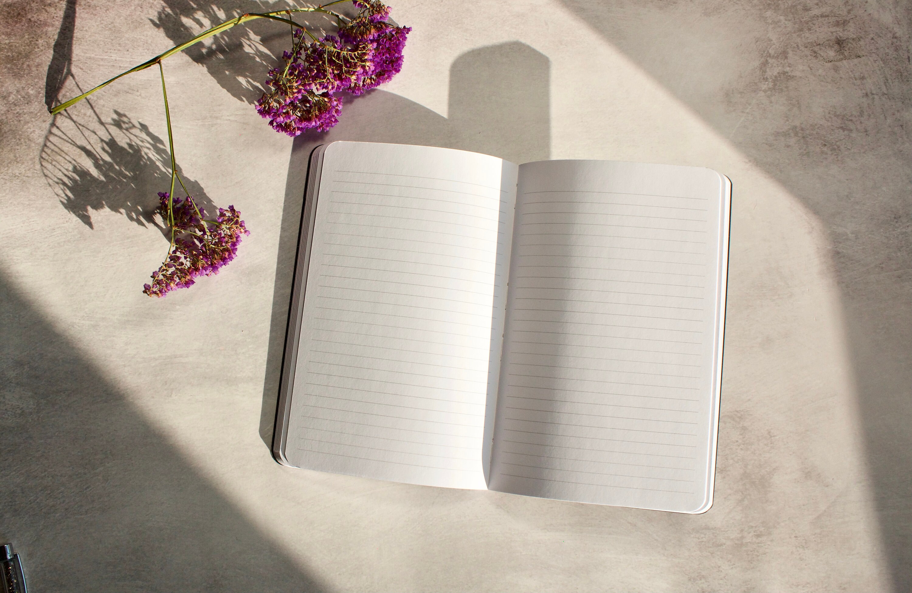 Jungle Leopard Notebook Pink Aesthetic Notebook Tropical | Etsy