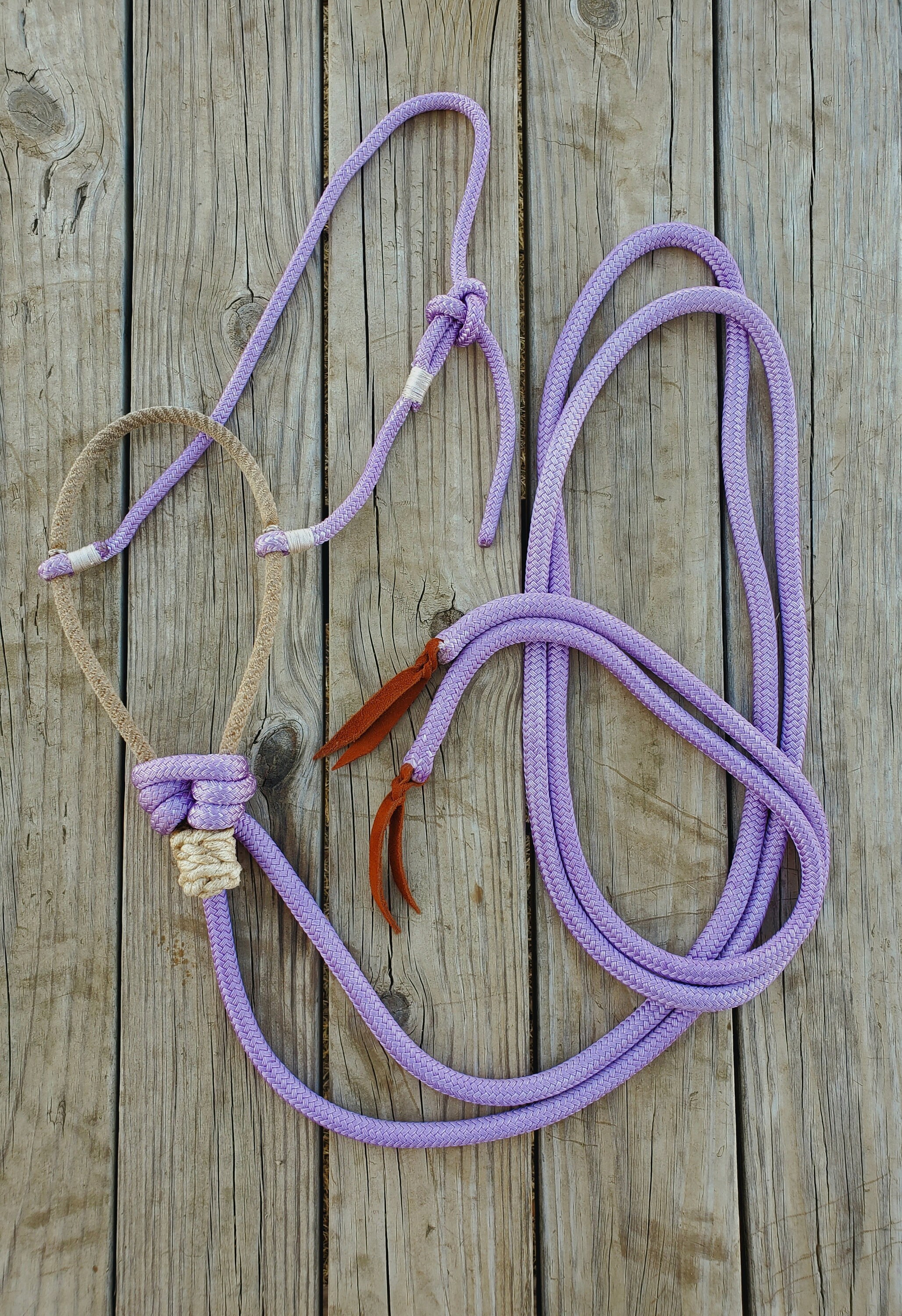 Bosal Hackamore for sale | Only 4 left at -75%
