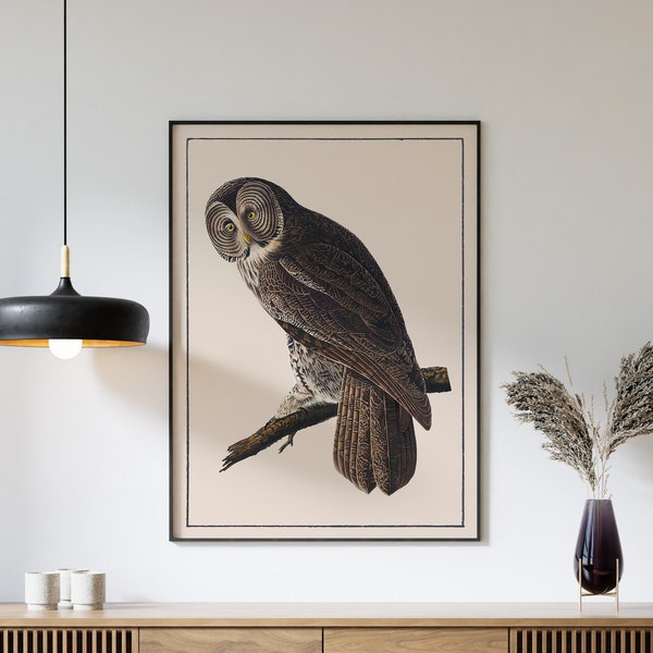 Owl Poster - Etsy UK