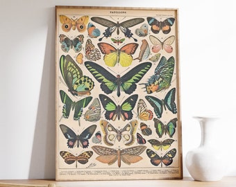 Papillons Butterfly Poster - Etsy
