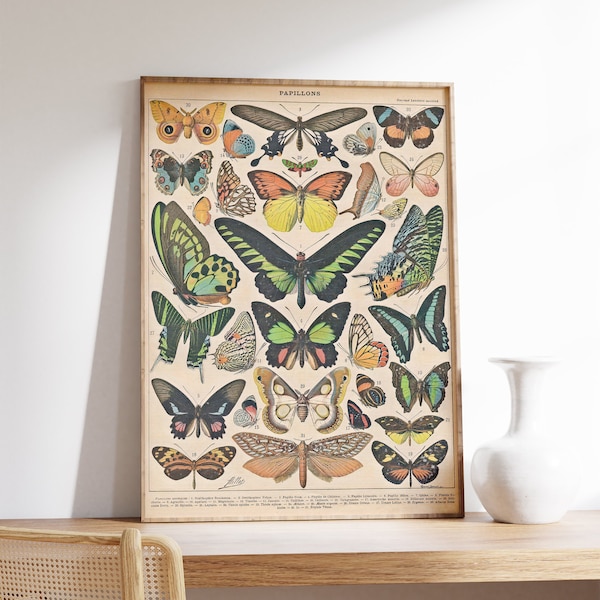 Butterfly Poster - Etsy