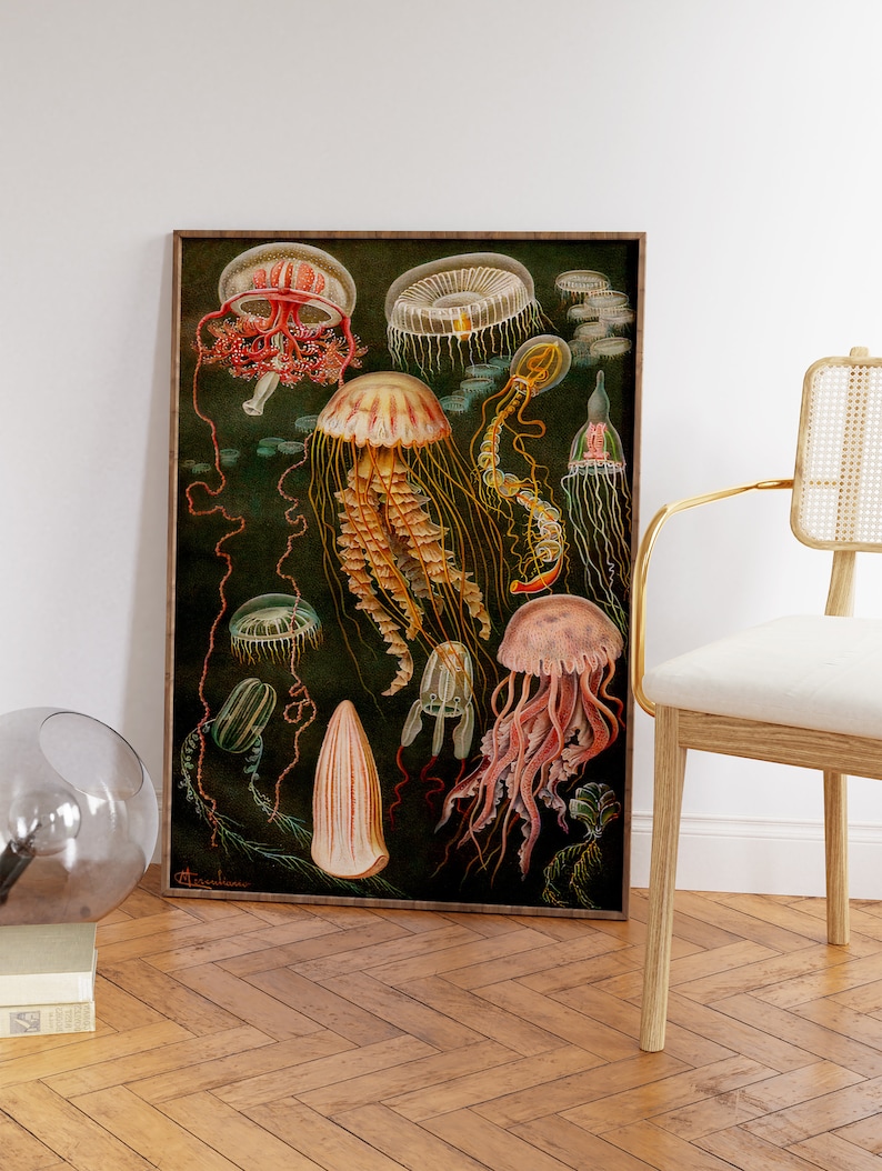 Vintage Jellyfish Poster Ocean Art Wildlife Print Fish Art - Etsy