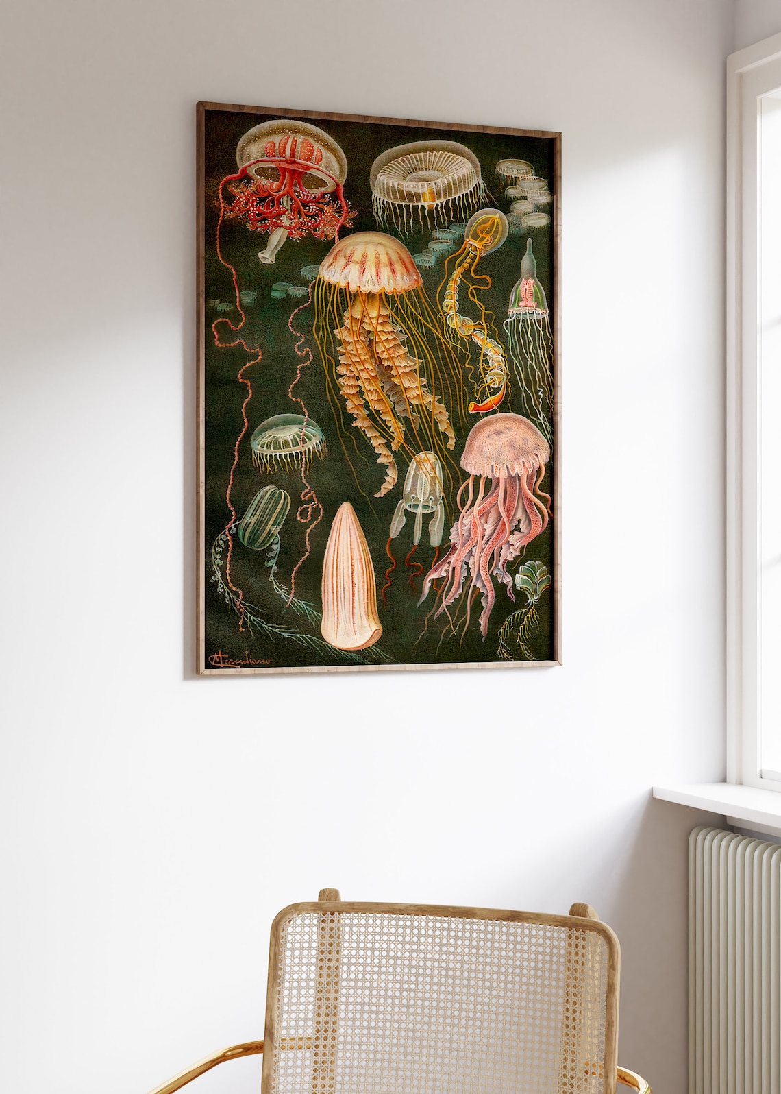 Vintage Jellyfish Poster, Ocean Art, Wildlife Print, Fish Art, Nature ...