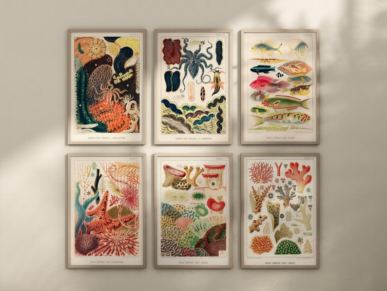 Set of 6 Crustacean Prints Gallery Wall Vintage Sea Posters - Etsy