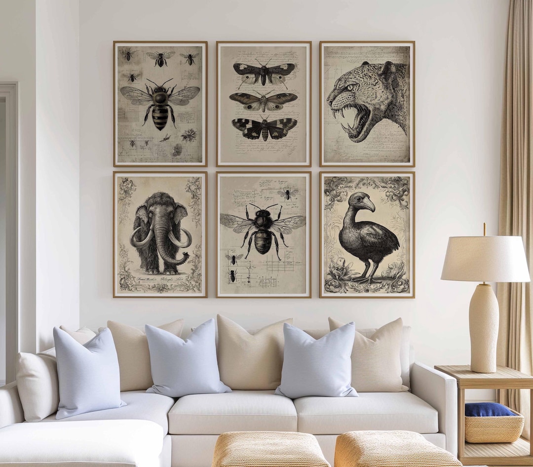 Set of 6 Vintage Animal Prints, Vintage Animal Posters, Animal Art ...
