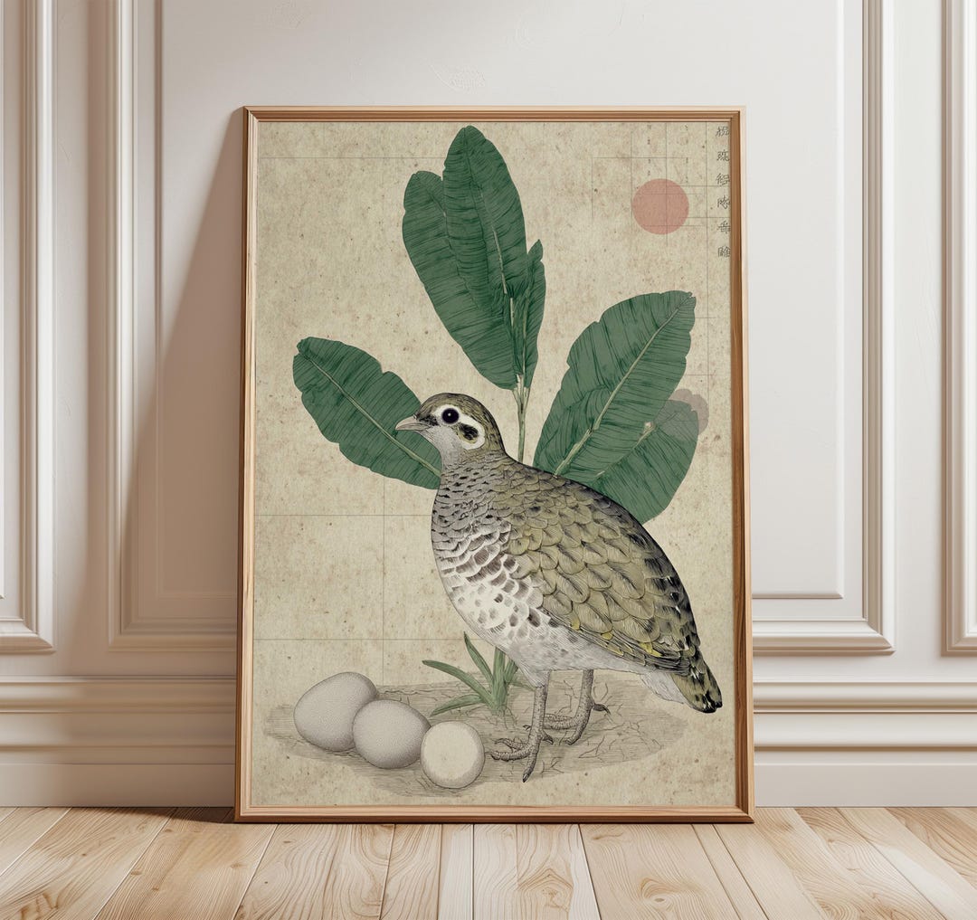 Vintage Bird Art Print, Quail and Eggs Botanical Poster, Nature Wall ...