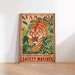 Vintage Tiger Print, Indian Tiger Poster, Matchbox Art, Animal Print ...