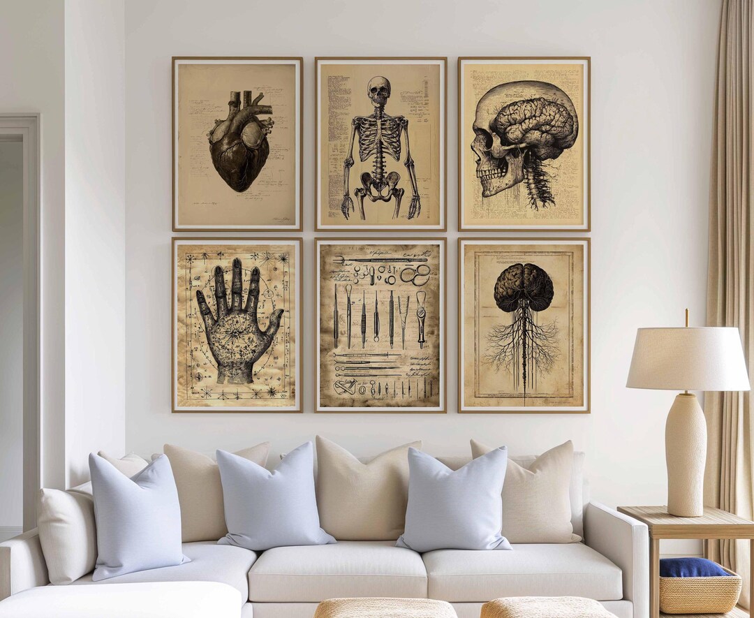 Set of 6 Vintage Anatomy Prints, Antique Medical Illustrations, Human ...