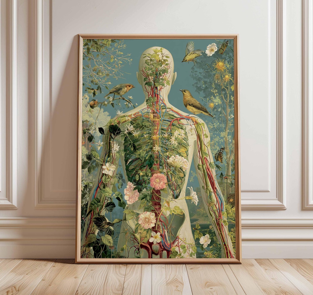 Human Anatomy Poster, Human Body Posters, Anatomy Wall Prints ...